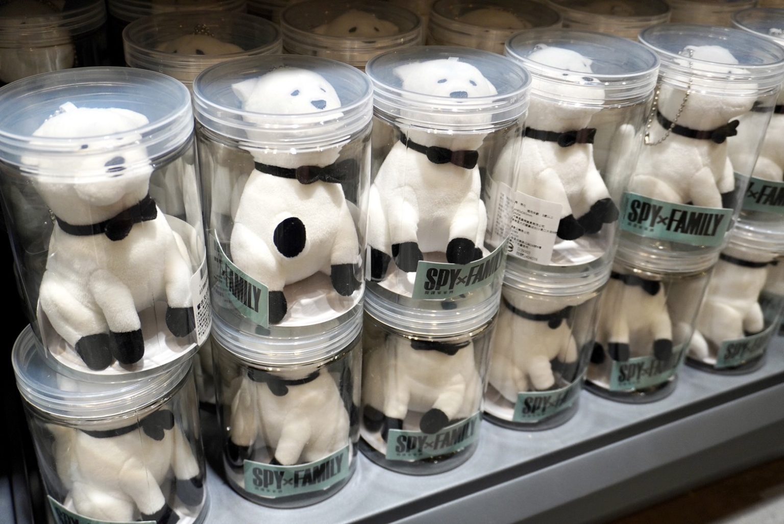 SPY×FAMILY間諜家家酒 快閃店搶先看！圓盒坐姿娃娃必買！ - MeMeOn 迷迷音