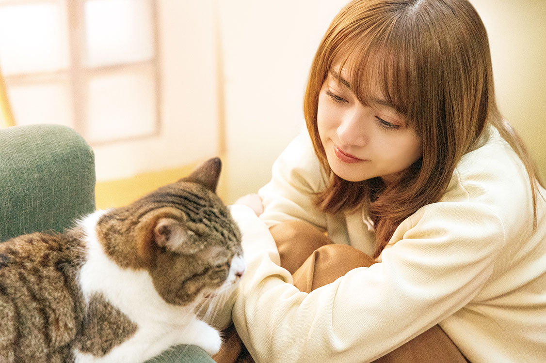 愛貓必看療癒電影！《三日月和貓》4 個看點推薦 - MeMeOn 迷迷音